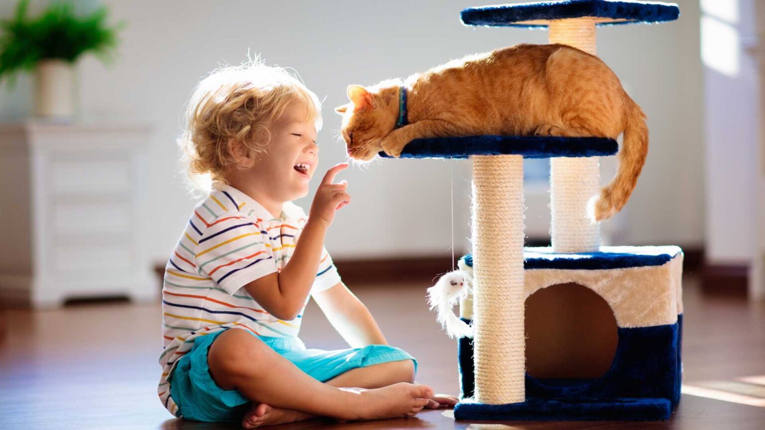 Animal Therapy for Autism: Unlocking Support Through the Human-Animal ...